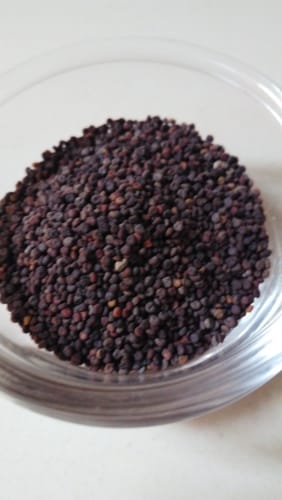 Discovering Jakhia: A Unique Seed For Flavorful Indian Dishes Recipe