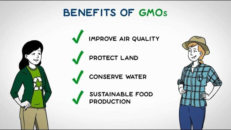 What Are Genetically Modified Foods Pros And Cons?